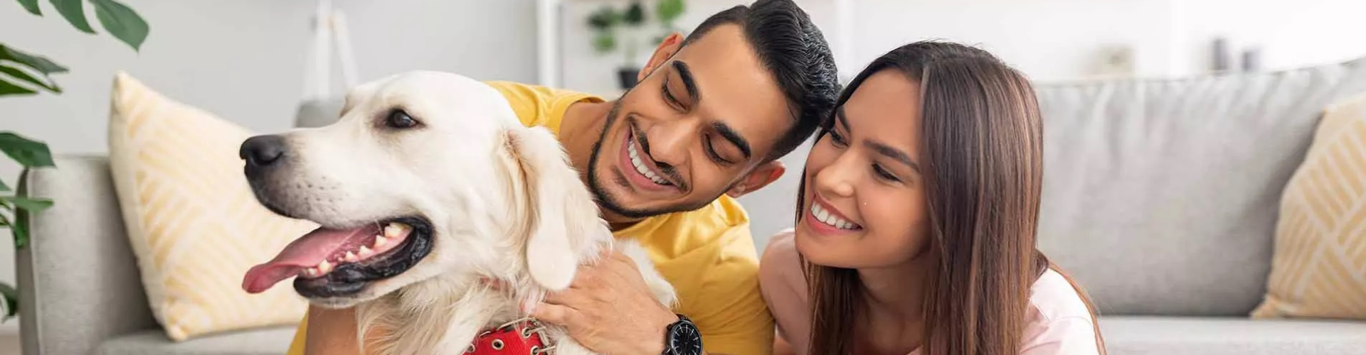 Promozione Volkswagen Volkswagen We Care Easy Roma, Viterbo e Frosinone ...